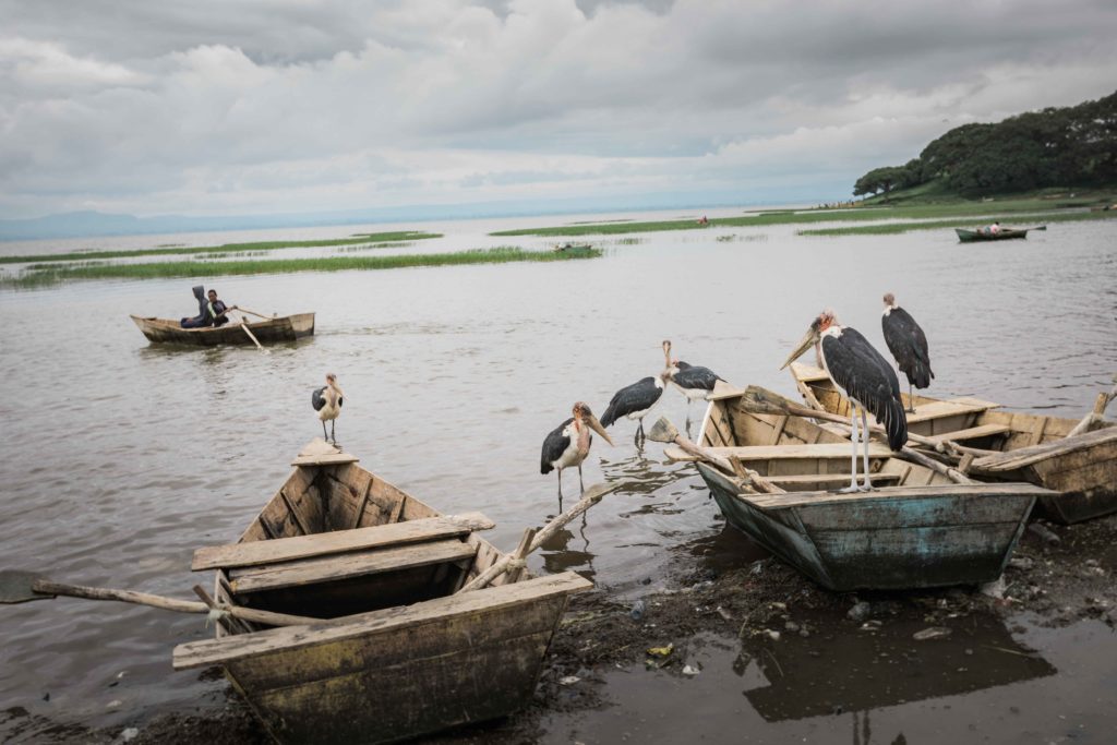 Capturing Grace | Getting to Know Hawassa – Capturing Grace in Ethiopia ...