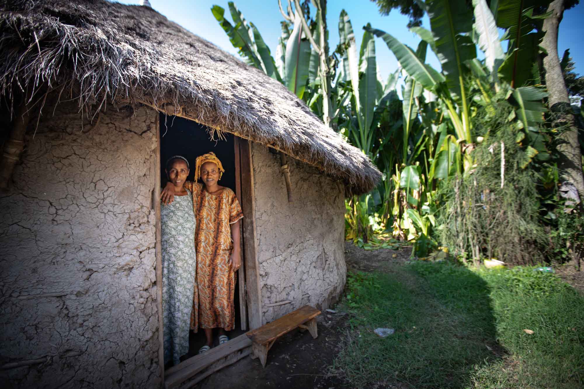 Capturing Grace | Making Kocho – – Capturing Grace in Ethiopia for ...